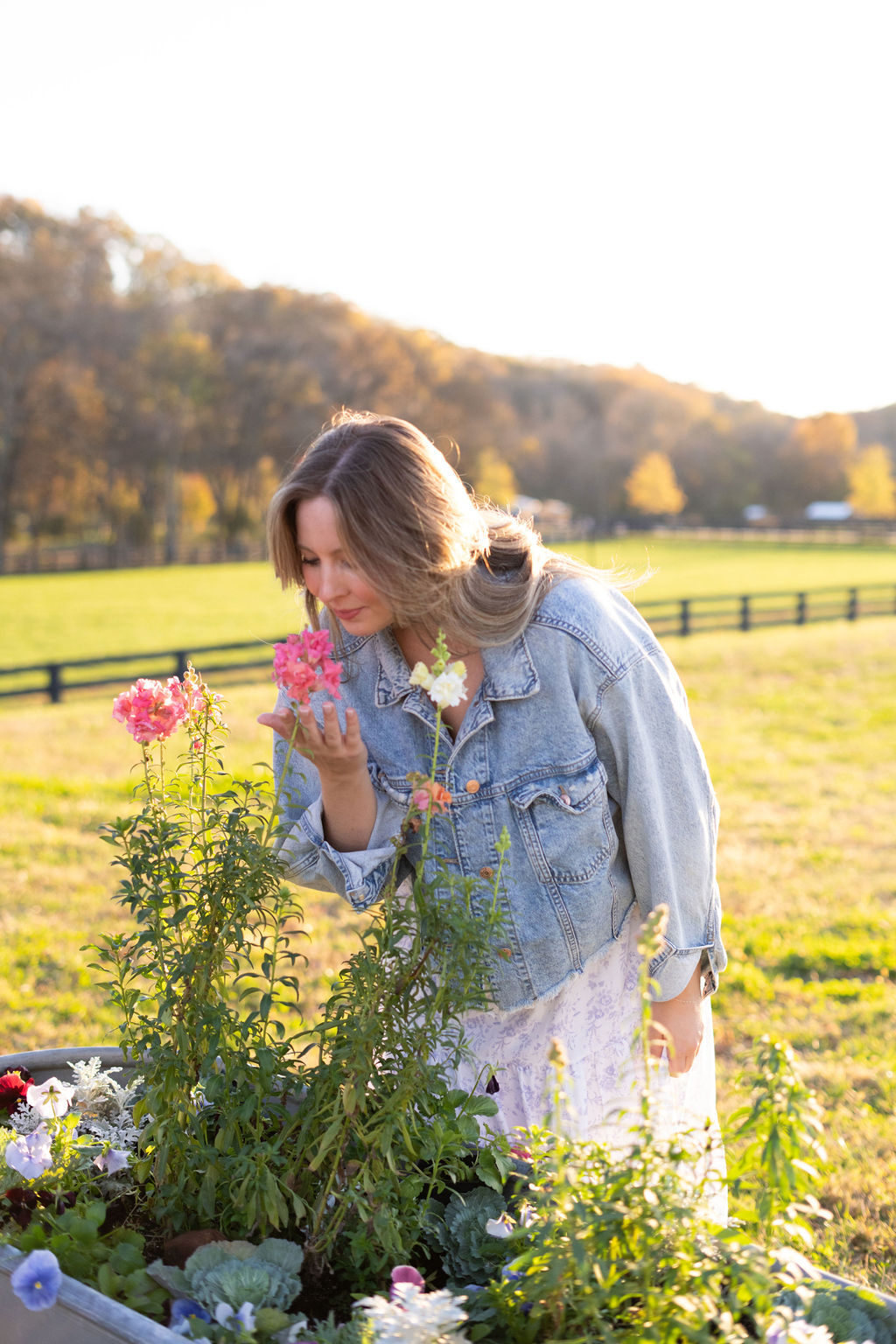 What Does a Southern Summer Smell Like? - Modern South