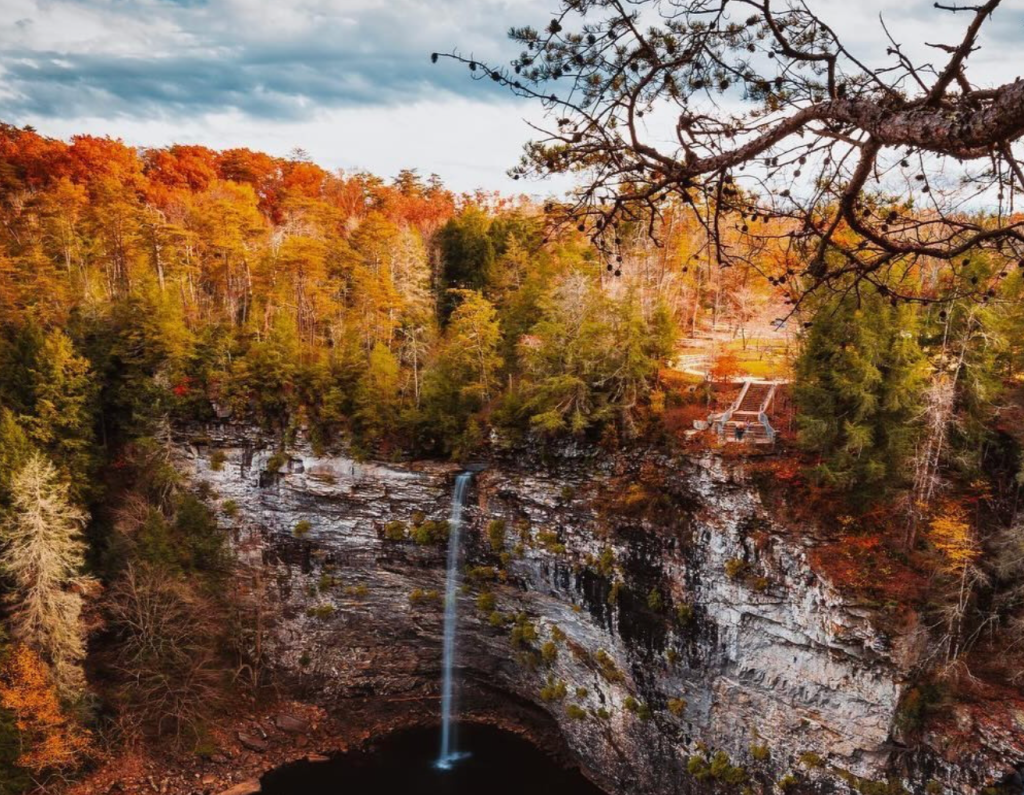 A New View: Tennessee’s Fall Foliage Through Colorblind Viewfinders ...